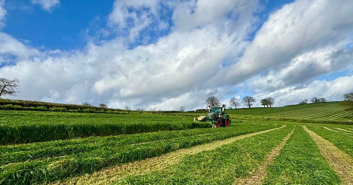 The Importance of Forage Production : Animal feed specialists for ...
